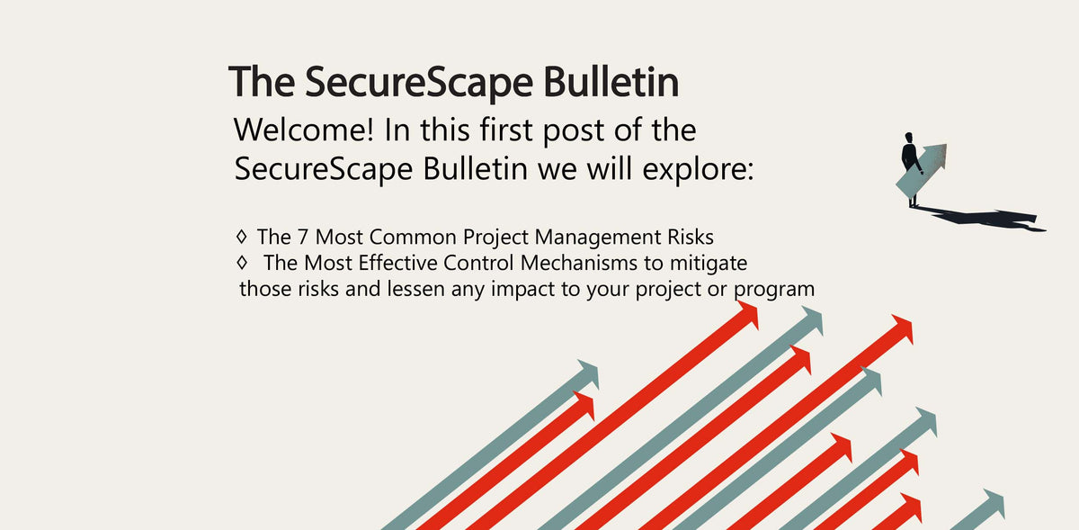 7 Most Common Project Management Risks and The Most Effective Control – SecureScape
